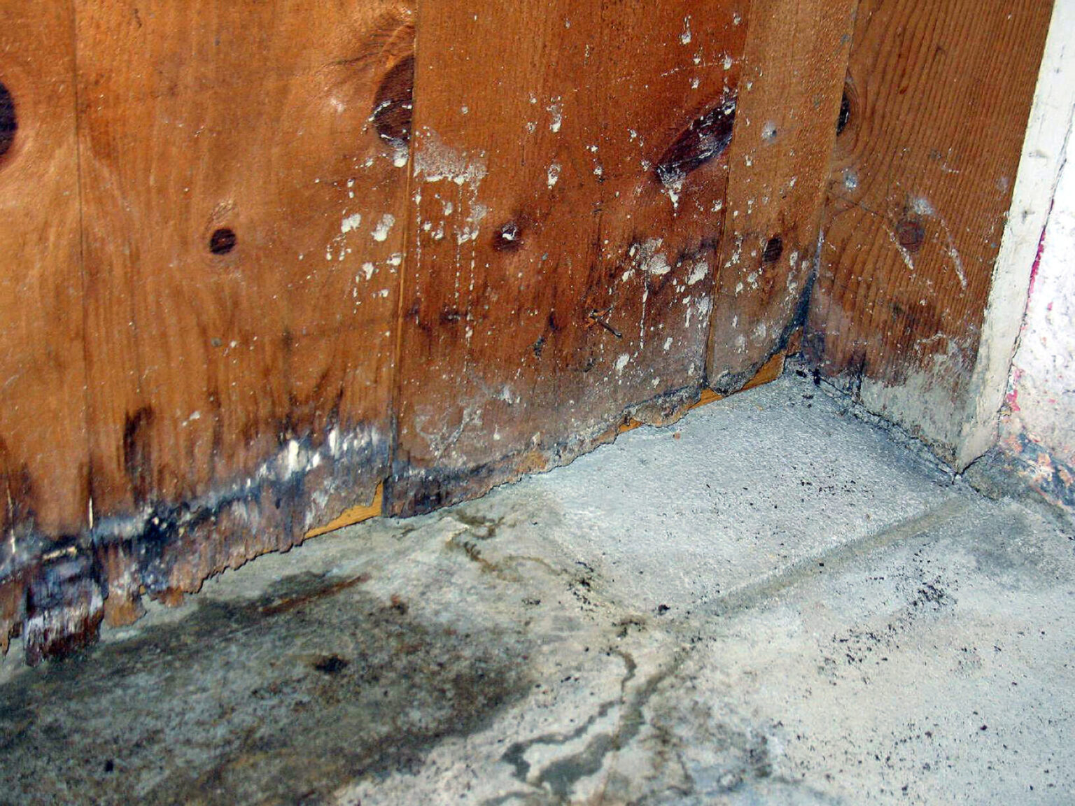 Sachse Flood & Water Damage Restoration Specialists | B-Line Flood ...